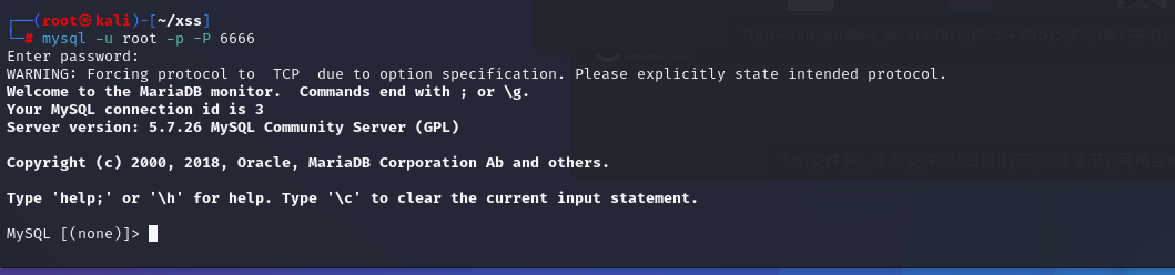 NPS-内网攻防信息打点工具 · IIIIIII的博客
